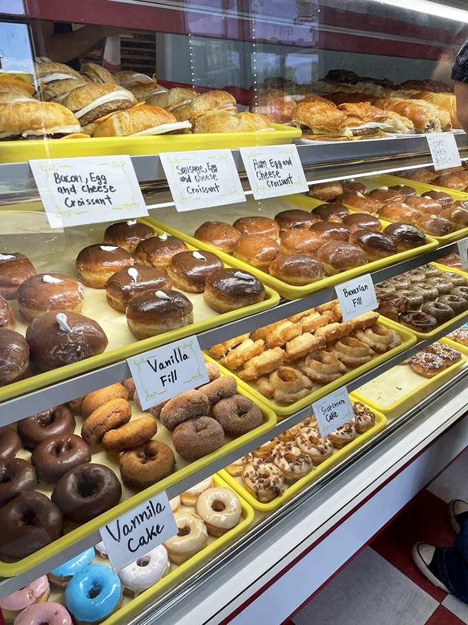 Decisions, decisions! This display case is like a treasure chest of fried dough, each shelf a new adventure in sweetness.