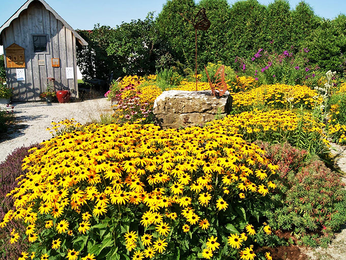 Sunshine in bloom! This sea of golden flowers is nature's way of saying, "Who needs a mood ring when you've got me?" Instant happiness, guaranteed.
