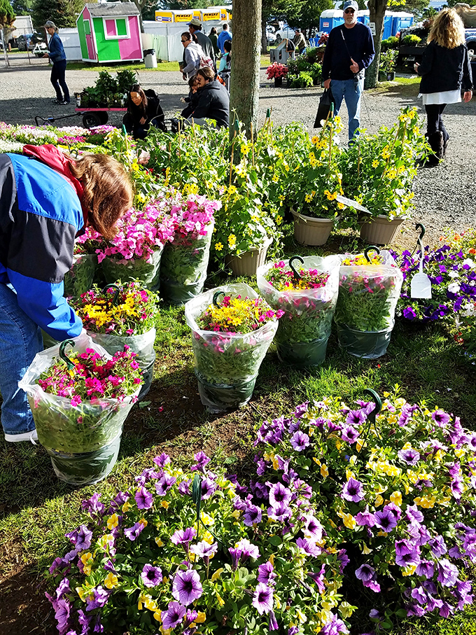 Flower power in full bloom! These vibrant petals are nature's way of saying, "Spring has sprung, now buy me!"
