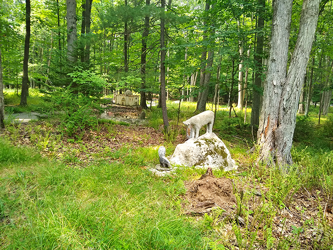 Mother Nature's art gallery. Where else can you find masterpieces made of moss, leaves, and the occasional confused squirrel?