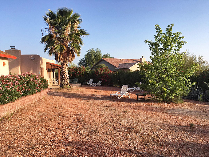 Desert living at its finest! These Wickenburg homes blend Southwestern charm with modern comfort, proving you don't need grass to have a great yard.