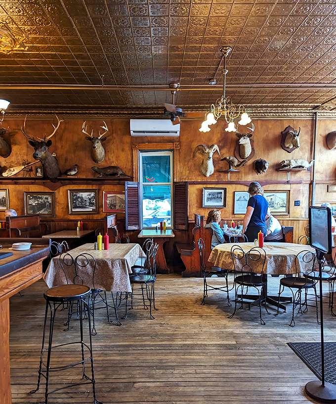 Where antlers meet appetites! This cozy corner of Sleder's feels like a living museum of local lore, with a side of tasty treats.