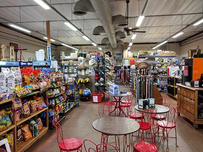 It's like your grandma's attic and a convenience store had a beautiful baby. Explore and discover your new favorite thing!