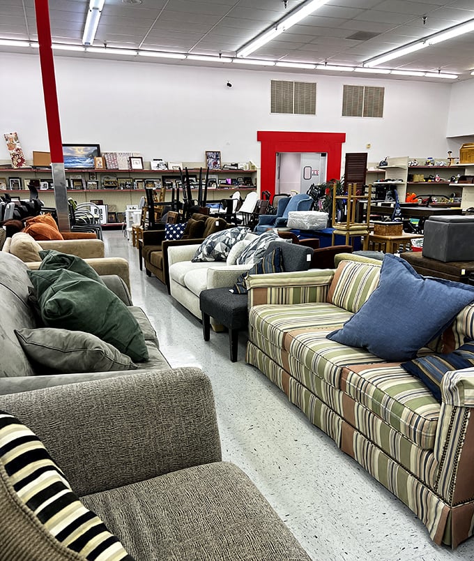 SuperThrift: Where 'window shopping' means peering into the past. It's like a museum, but everything's for sale!