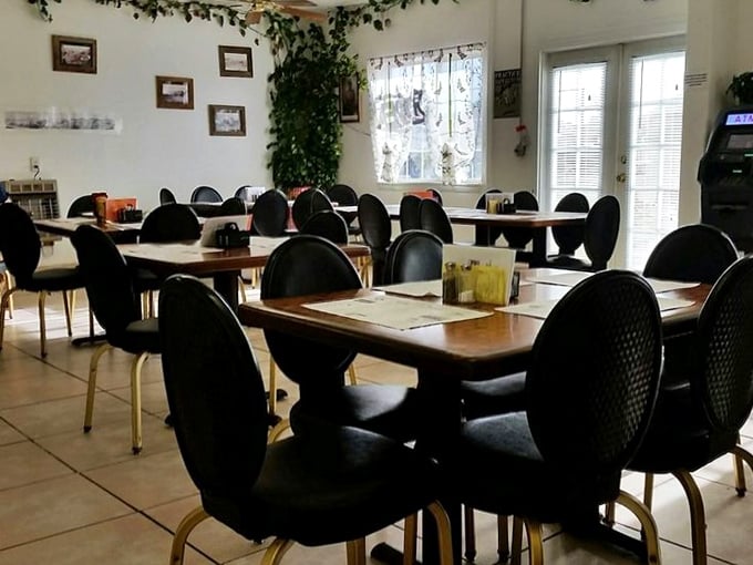 Where everybody knows your name... or at least your favorite order. The Dinky Diner's cozy interior is like a warm embrace from an old friend.