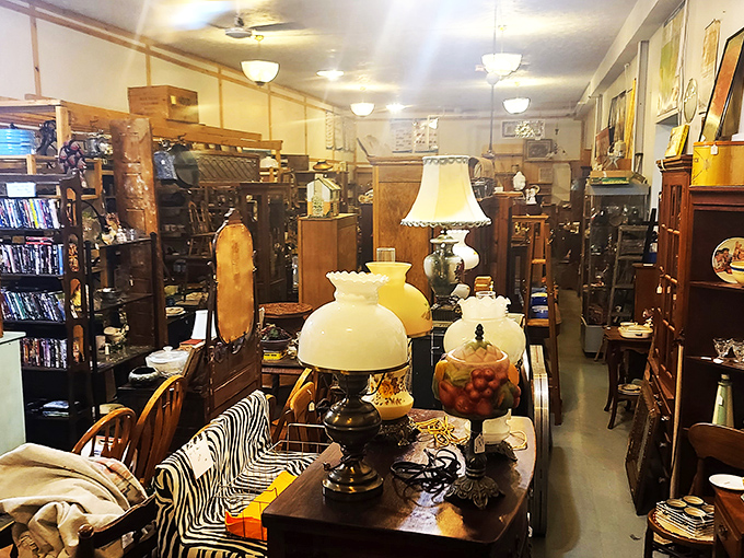 Illuminating finds at every turn! These lamps aren't just lighting fixtures; they're conversation starters waiting to brighten up your living room and your dinner parties.