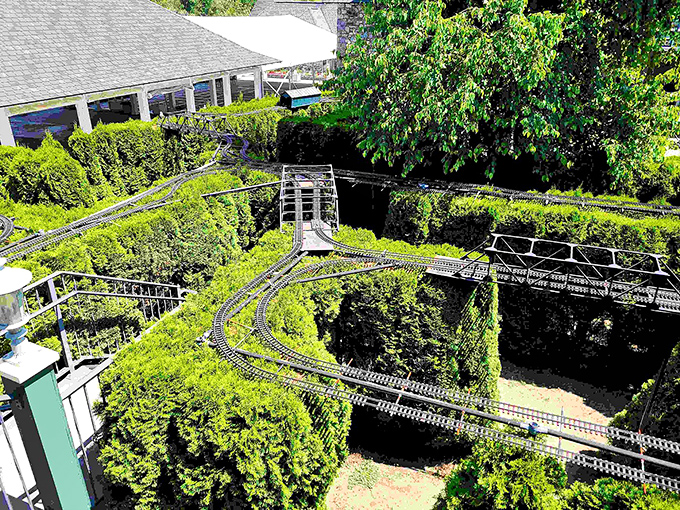 Honey, I shrunk the railway! This miniature marvel proves that good things really do come in small packages.