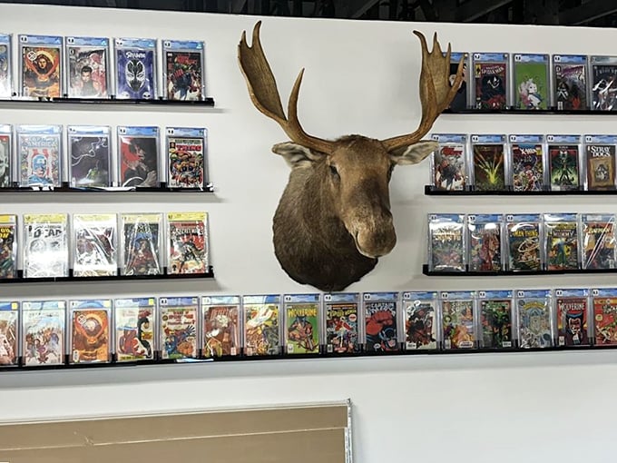 Oh deer, what do we have here? This moose head presides over a kingdom of comic book royalty, a truly wild combination.