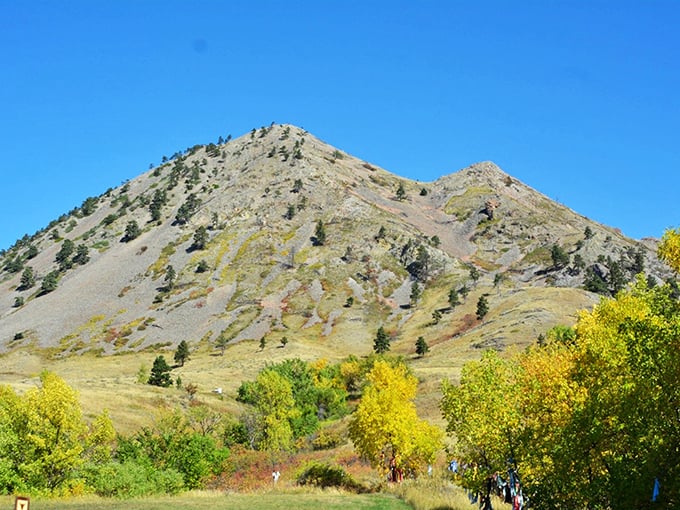 Fall's palette on full display! Mother Nature's showing off her artistic side, painting Bear Butte in hues that'd make Bob Ross proud.
