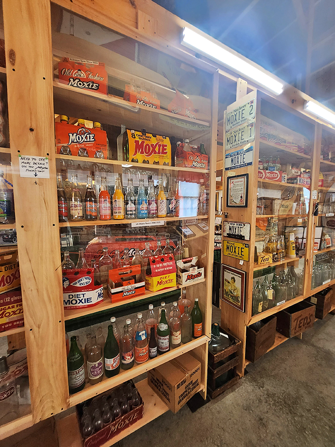 Moxie, Moxie everywhere, and not a drop to drink! This colorful collection is a feast for the eyes and a trip down memory lane.