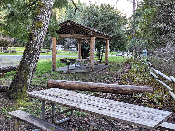 Picnic paradise: Where squirrels might judge your sandwich choices, but the view never disappoints.