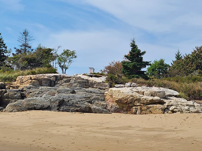 Geology's art gallery: Striations, erosions, and textures create a natural masterpiece. It's like abstract art, but with better views and no admission fee.