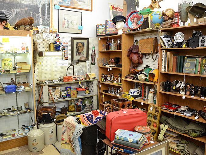 Shelves stacked with stories waiting to be told. Each item a character in the grand narrative of 'stuff.'