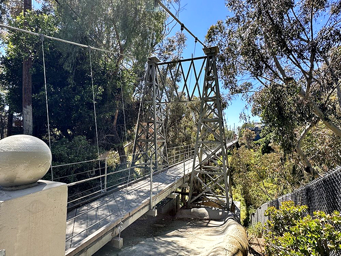 Side-eye the side view! This perspective gives new meaning to the phrase 'don't look down.' Acrophobics, you've been warned!