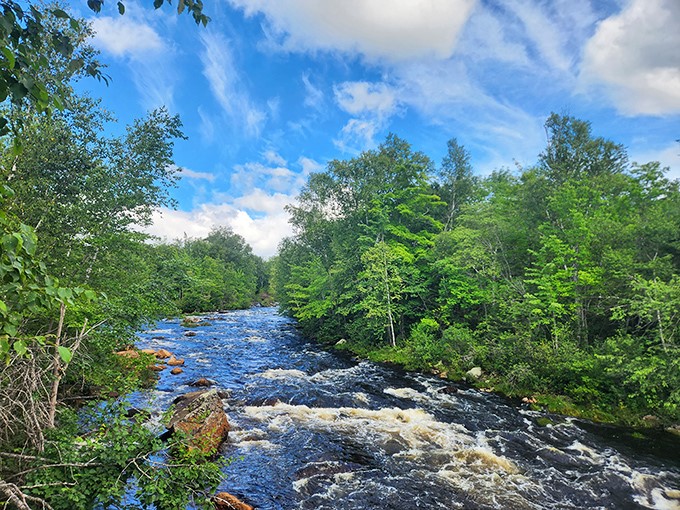 Nature's own rock concert. The rushing stream provides a soothing soundtrack to your woodland adventure, no tickets required.
