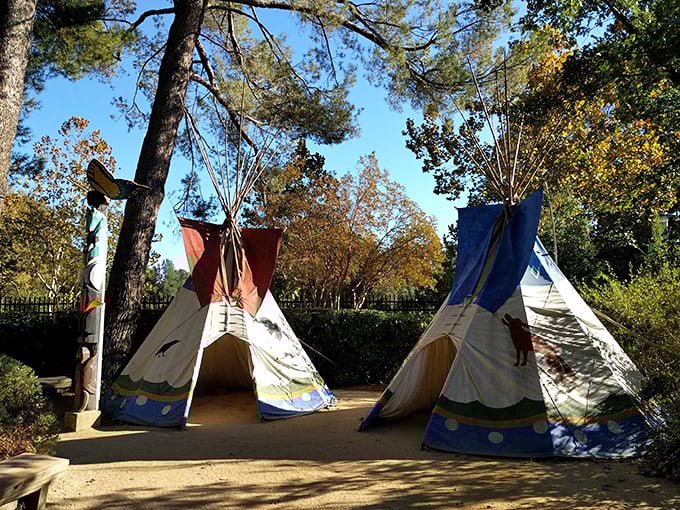 "Teepee or not teepee, that is the question! These cozy hideaways are perfect for powwows, storytelling, or just playing 'let's avoid adulting for a while.'"