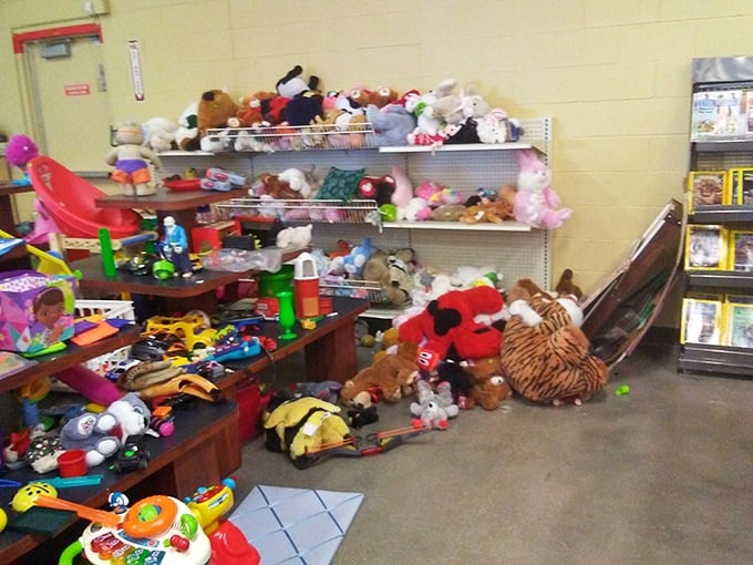 Toy Story meets Hoarders: Plush Edition. This jumble of joy proves one shopper's clutter is another's childhood nostalgia.