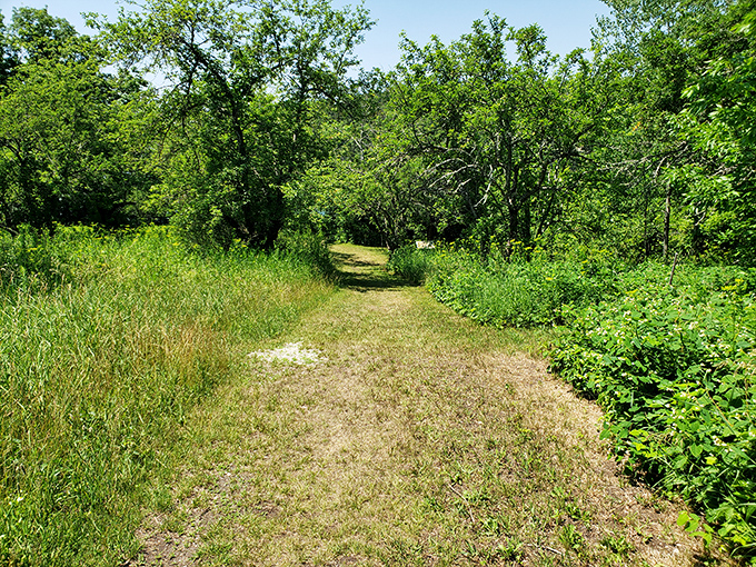 Take a walk on the wild side - Damariscotta style. This trail is perfect for burning off those extra lobster roll calories.