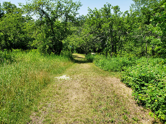 A path less traveled, but well worth the journey. Nature's own stress-relief therapy, no co-pay required.