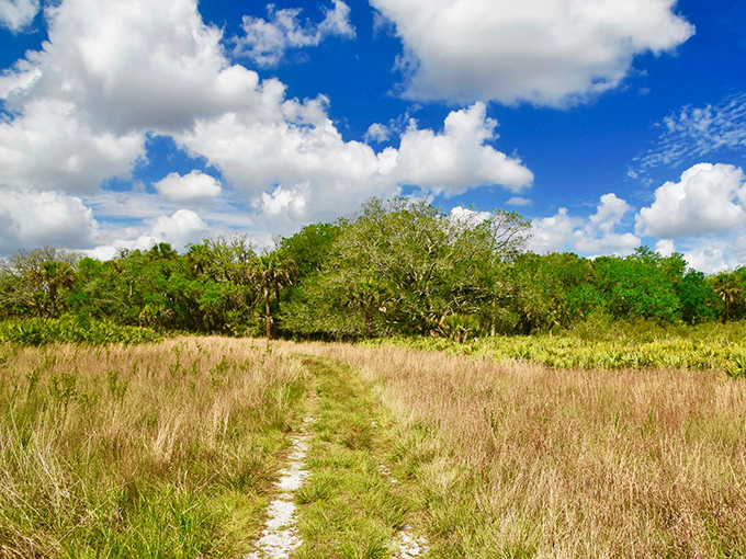 Cloud-watching championship, anyone? This vista could give Bob Ross a run for his money with its "happy little trees."