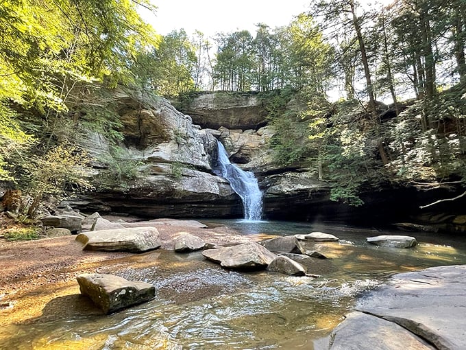 Move over, Niagara! Cedar Falls may not be as famous, but it's got charm and beauty that could give any waterfall a run for its money.