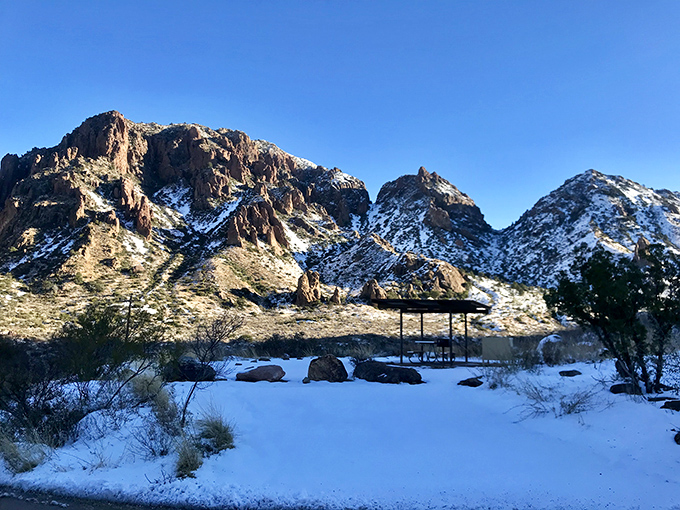 Winter wonderland, Texas-style! Looks like Jack Frost decided to vacation in the Lone Star State this year.