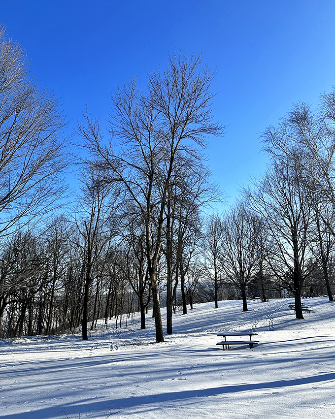 Winter wonderland or set of Frozen? Either way, you'll want to build a snowman and sing "Let It Go."