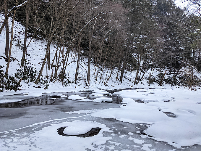 Winter transforms Trough Creek into a frosty wonderland. It's like stepping into Narnia, minus the talking animals.