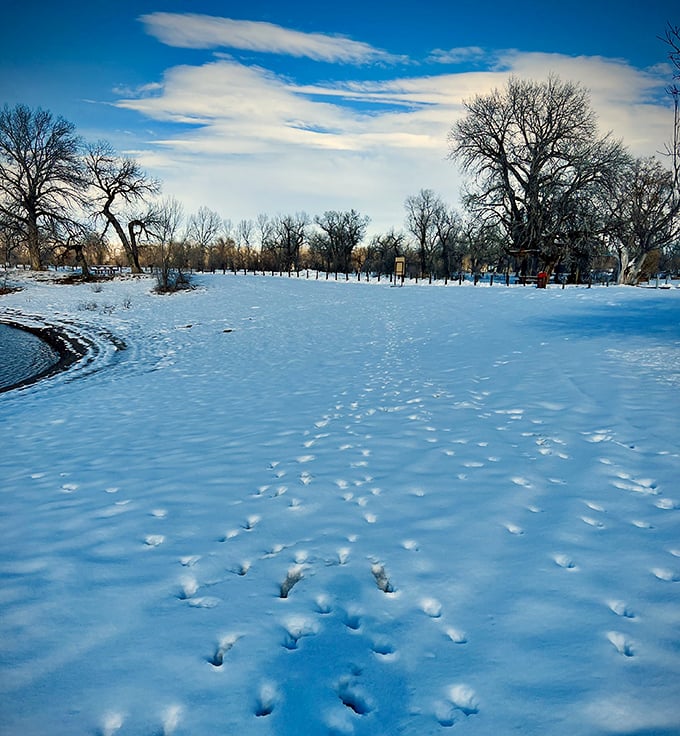 "Winter wonderland or Narnia? This snowy scene is so magical, you half expect a talking lion to pop out from behind a tree."
