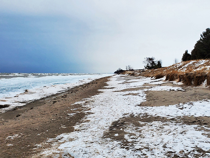 Winter's icy grip transforms the shore into a frosty wonderland. Jack Frost's artwork puts even the best sand sculptors to shame!