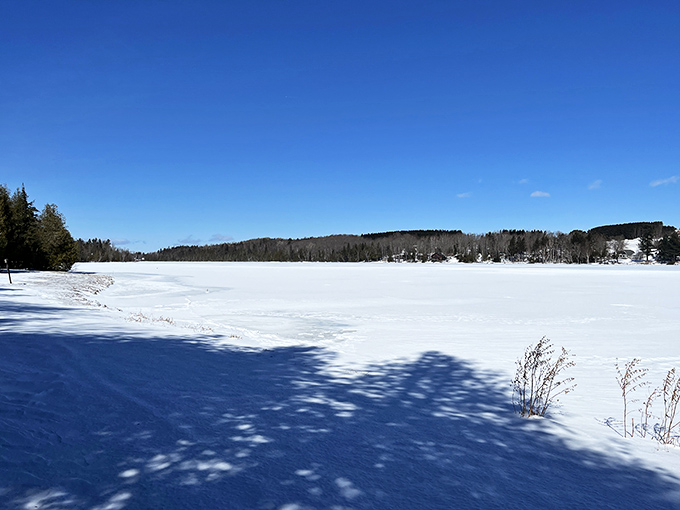 Winter wonderland or Narnia? Aroostook's frosty landscape is so magical, you'll be checking wardrobes for secret passages.
