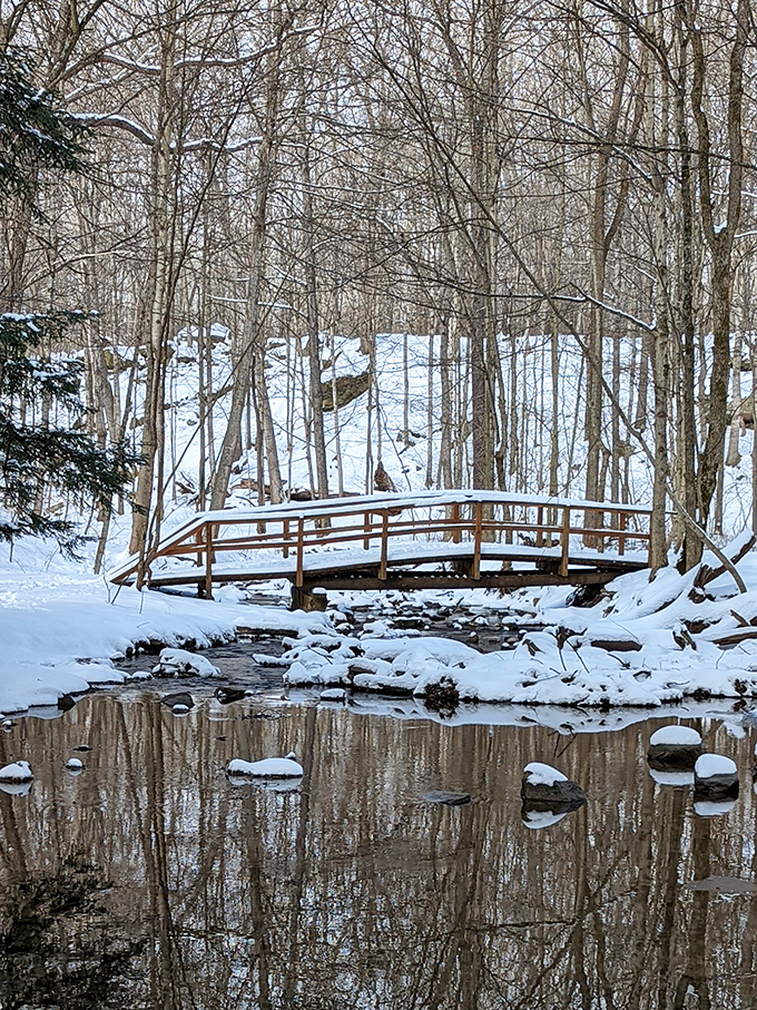 Winter's icy grip transforms Honey Run into a frosty wonderland. Narnia called, it wants its wardrobe back!