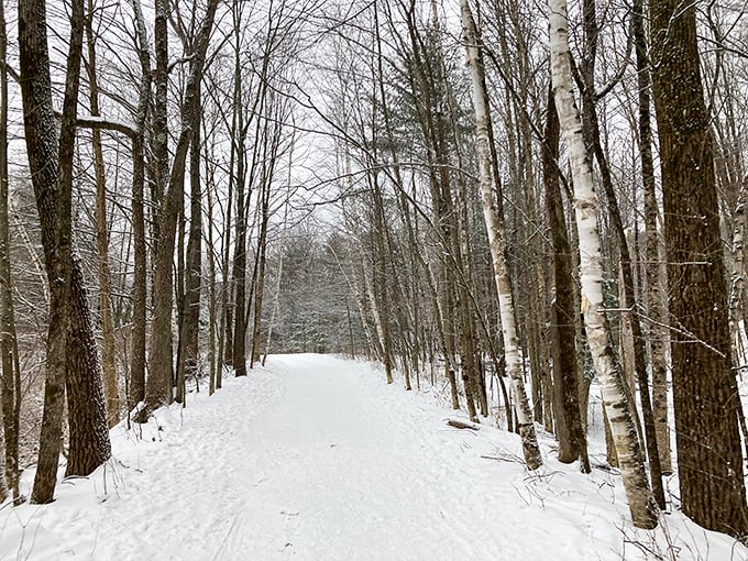 Winter wonderland or Narnia's less-famous cousin? This snowy trail promises adventure, magic, and possibly a friendly faun around every bend.