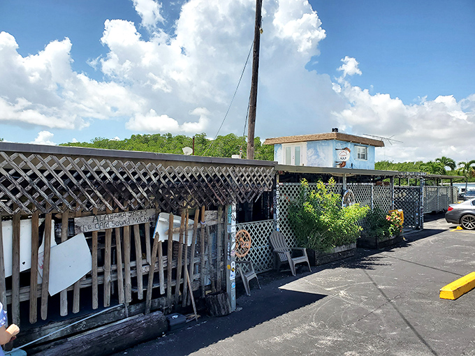 Alabama Jack's: Proving that the best things in life are a little rough around the edges... and full of lobster.