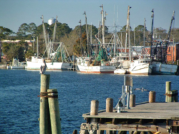 Apalachicola: Oysters, shrimp, and Southern charm. Forrest Gump would feel right at home in this seafood lover's paradise!
