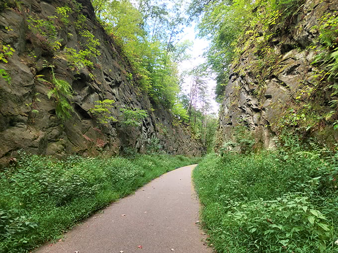 Blackhand Gorge: where the Licking River moonlights as a sculptor. Its masterpiece? This sandstone canyon that puts most art galleries to shame.