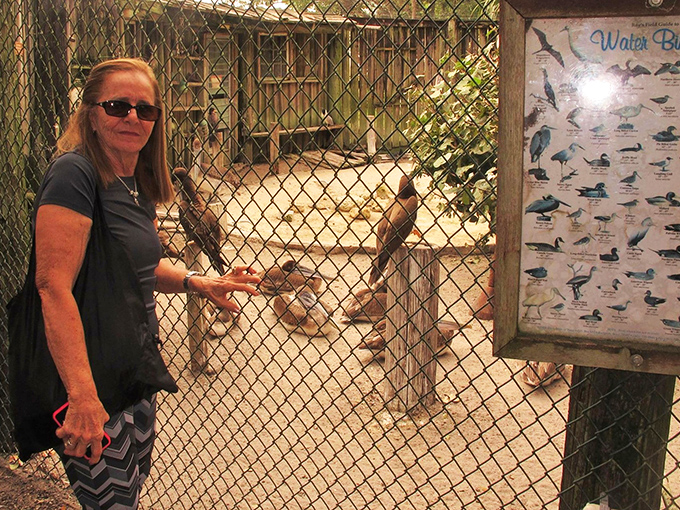 Give a hoot about wildlife? Busch Wildlife Sanctuary's owl show is a real head-turner!