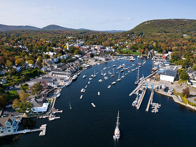 Camden's picture-perfect panorama: Where mountains meet the sea, creating a view so stunning it should be illegal. Good thing the food's legal and delicious!