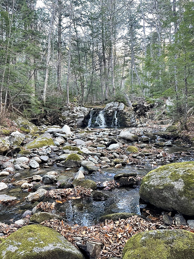 Dunn Falls: The dynamic duo of cascades. It's like nature's version of a double feature, minus the overpriced popcorn.