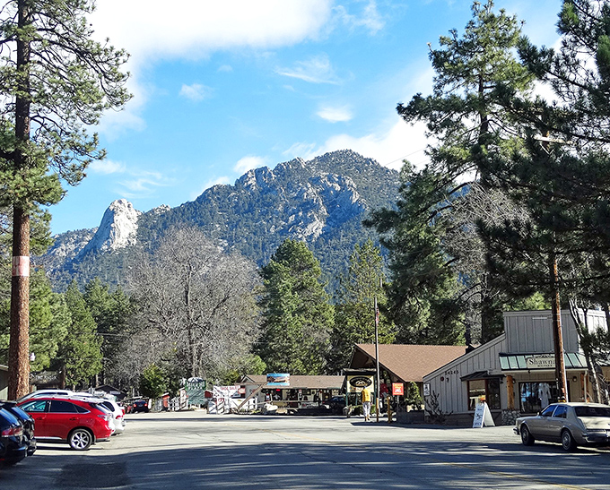 Idyllwild: Come for the mountain air, stay for the canine mayor. Yes, you read that right &ndash; this town's top dog is actually a dog!