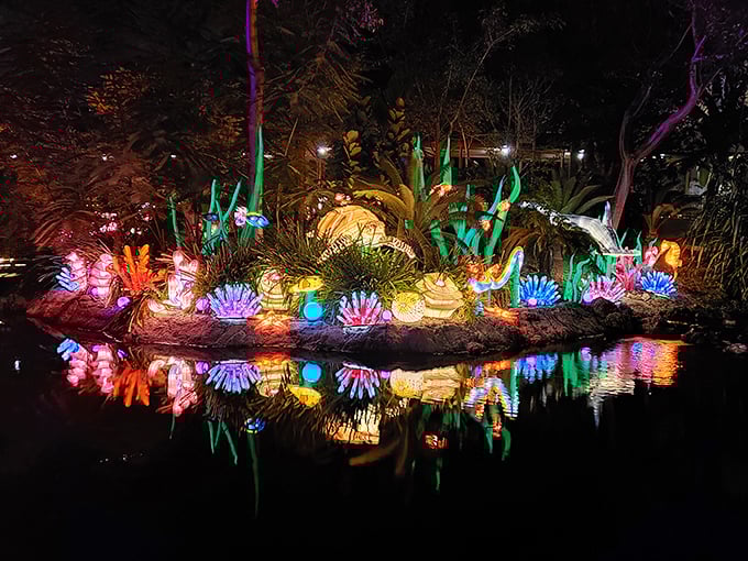 Nature's nightclub! Jungle Island after dark is a neon-lit spectacle that would make even fireflies jealous.