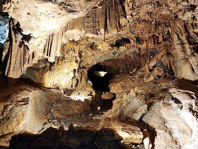 Triple threat adventure: boat, bus, and breathtaking cave tour. Lake Shasta Caverns has it all!