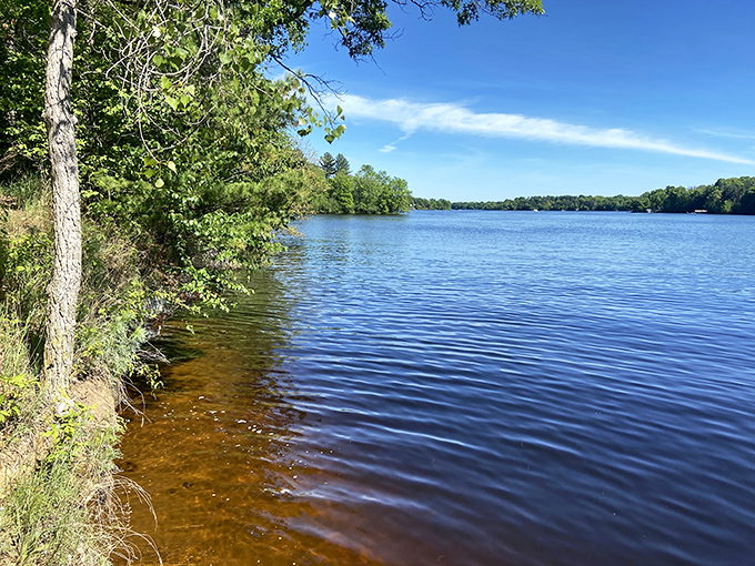 Tree-hugging meets wave-riding! This shoreline's got more personality than a sitcom ensemble cast.