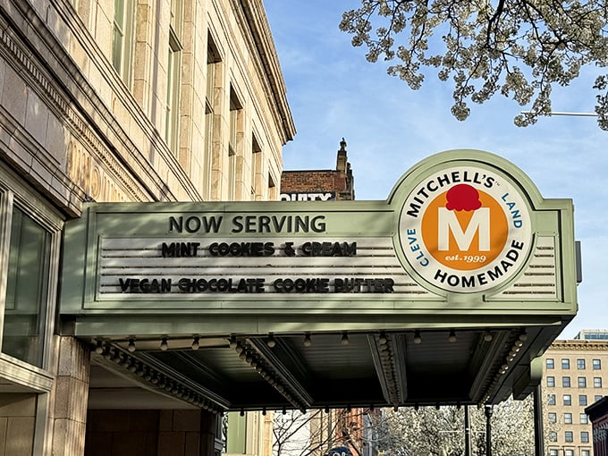 Mitchell's: The cool kid of Ohio's ice cream scene. Their modern shops are like ice cream's answer to the latest iPhone release.