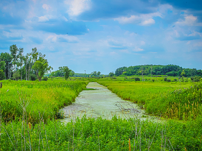 Moraine Hills State Park: Where glaciers left behind a playground of lakes, bogs, and trails. Mother Nature's own obstacle course!