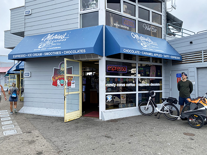 Surf's up, and so is the sugar content! Marini's Candies brings beach vibes and sweet treats together in perfect harmony.