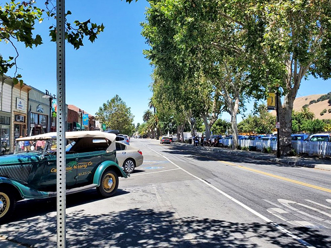 Niles District: Where every storefront tells a tale. It's like stepping into a black-and-white film, but with full-color charm.