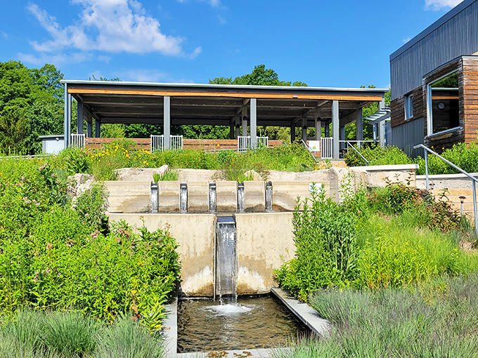 Skittles spill or flower explosion? This garden is more colorful than a tie-dye t-shirt convention.