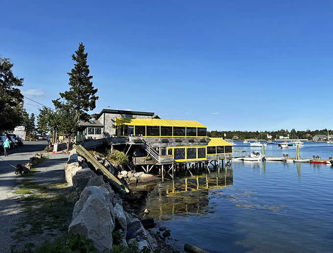Thurston's Lobster Pound: Where lobsters go for their final, delicious curtain call. This Bernard spot is the real deal, no shell game here.