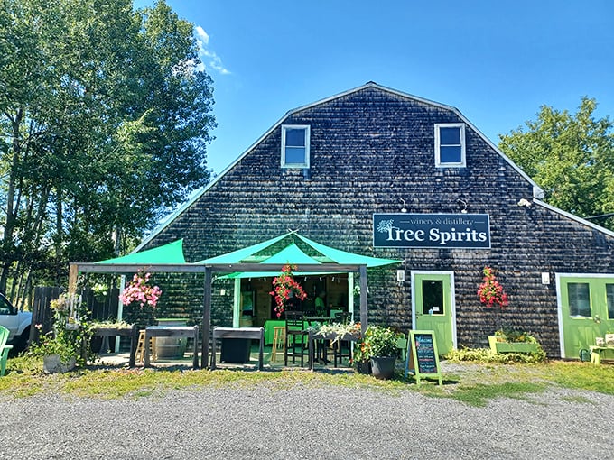 Tree Spirits: Where maples and apples fulfill their boozy destiny. It's like a science experiment gone deliciously right!